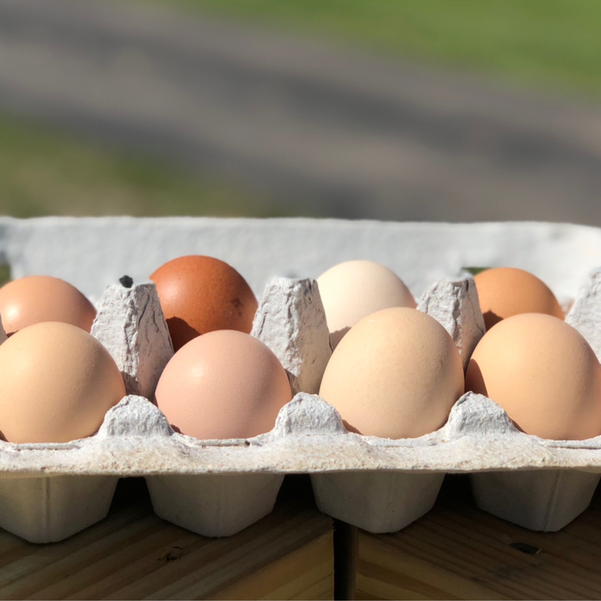 Chicken Eggs - Blessings Ranch